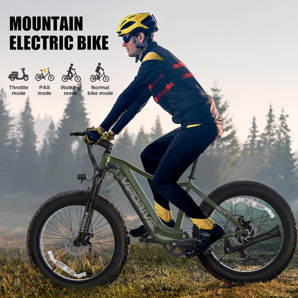Vipdrive Electric Bike Review - Smart Bike Hub