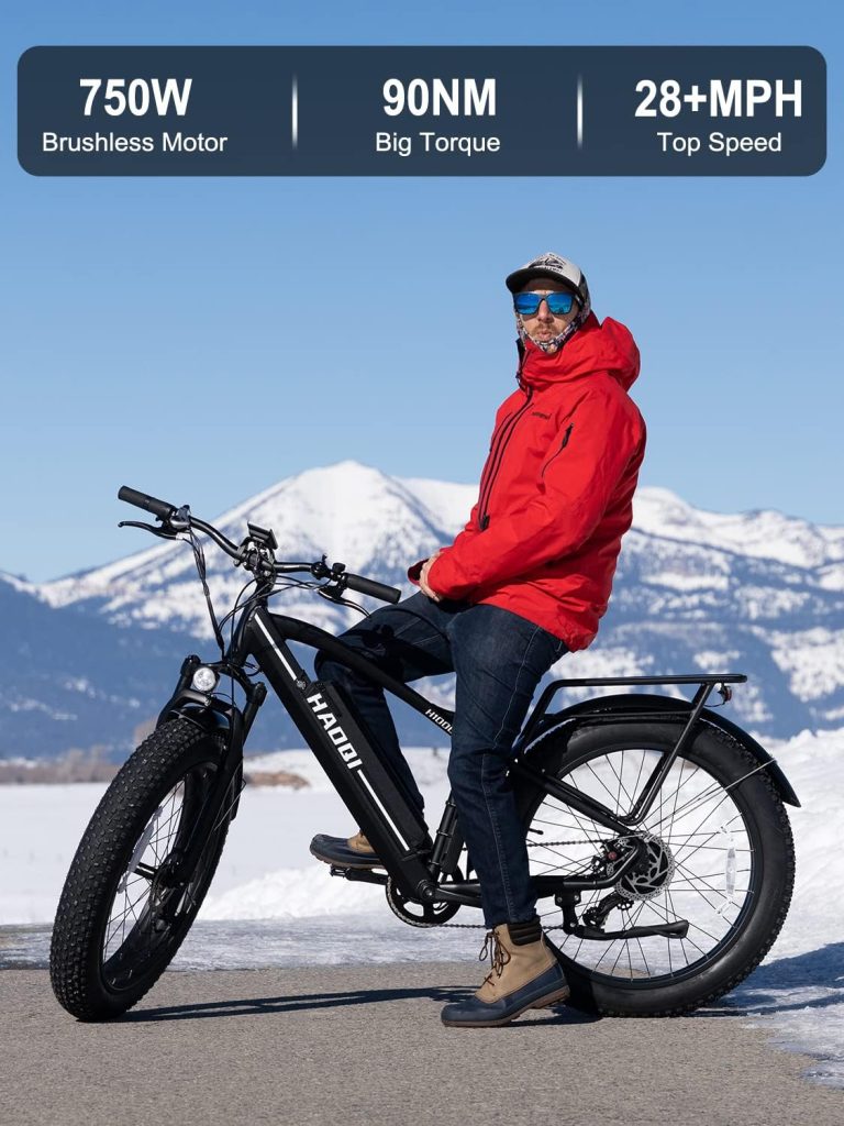 HAOQI Electric Bike Review - Smart Bike Hub